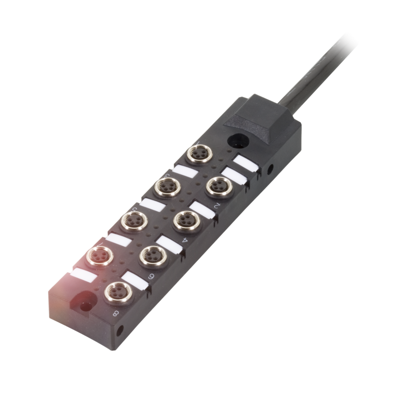 BPI003M (BPI 8M304P-2K-00-KPXK0-100) Junction blocks - BALLUFF