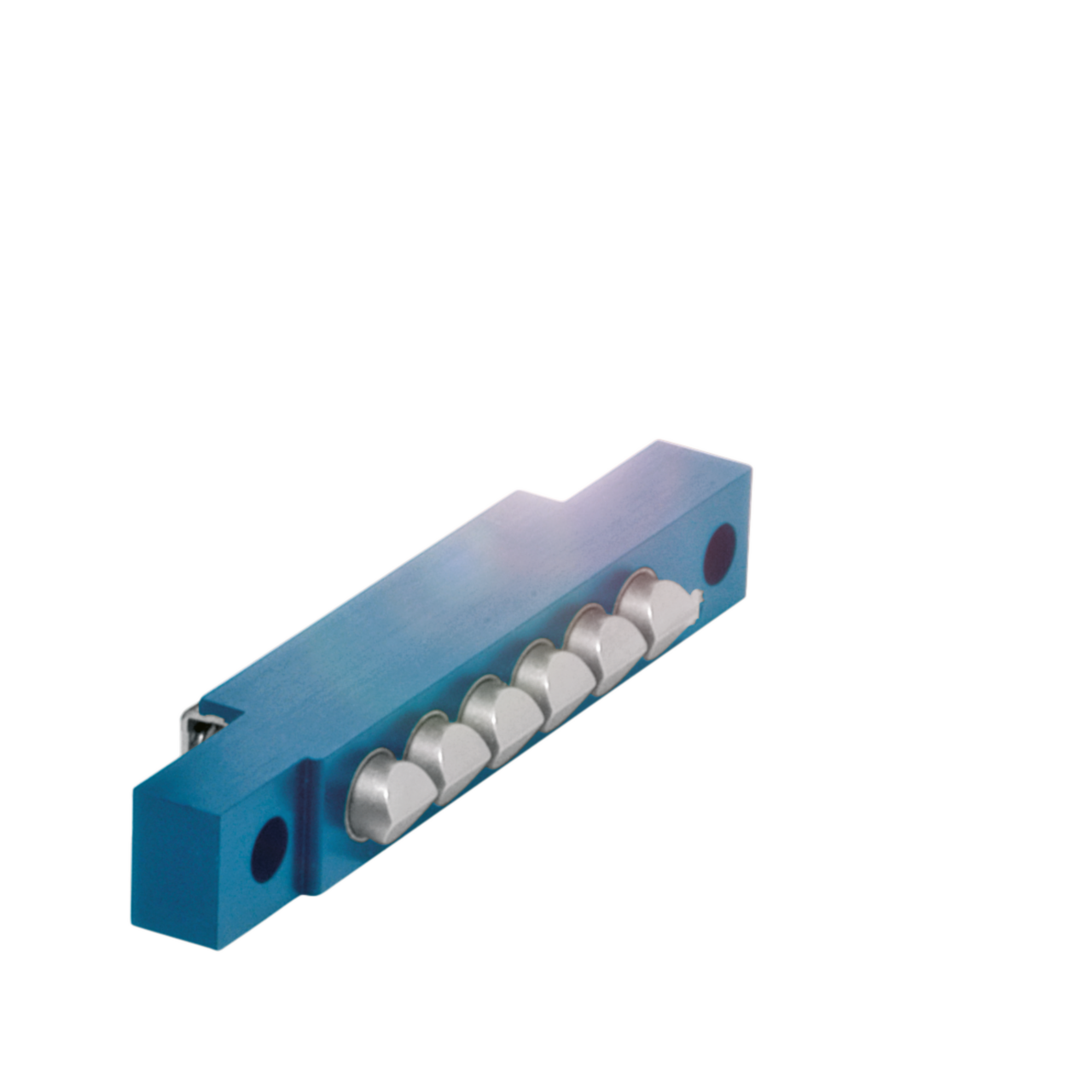 BNS013Z (BNS 813-D06-L12-100-10-01-FD) Mechanical multiple position ...